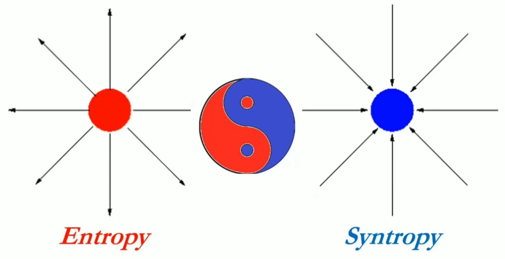 The Tao of Entropy and Syntropy within Human Social Systems @ Free Xenon